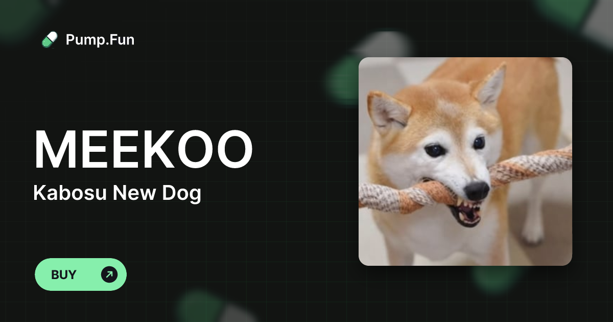 Kabosu New Dog (MEEKOO) - Pump