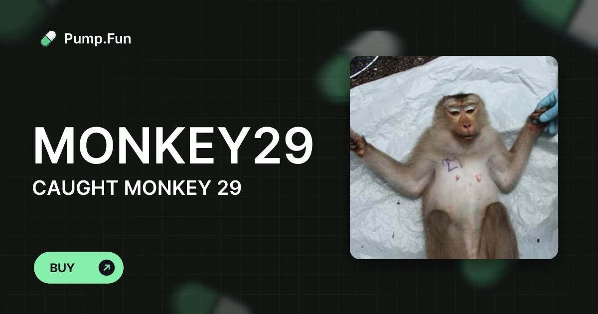 CAUGHT MONKEY 29 (MONKEY29) - Pump
