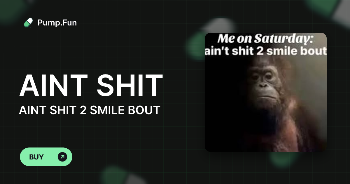 AINT SHIT 2 SMILE BOUT (AINT SHIT) - Pump