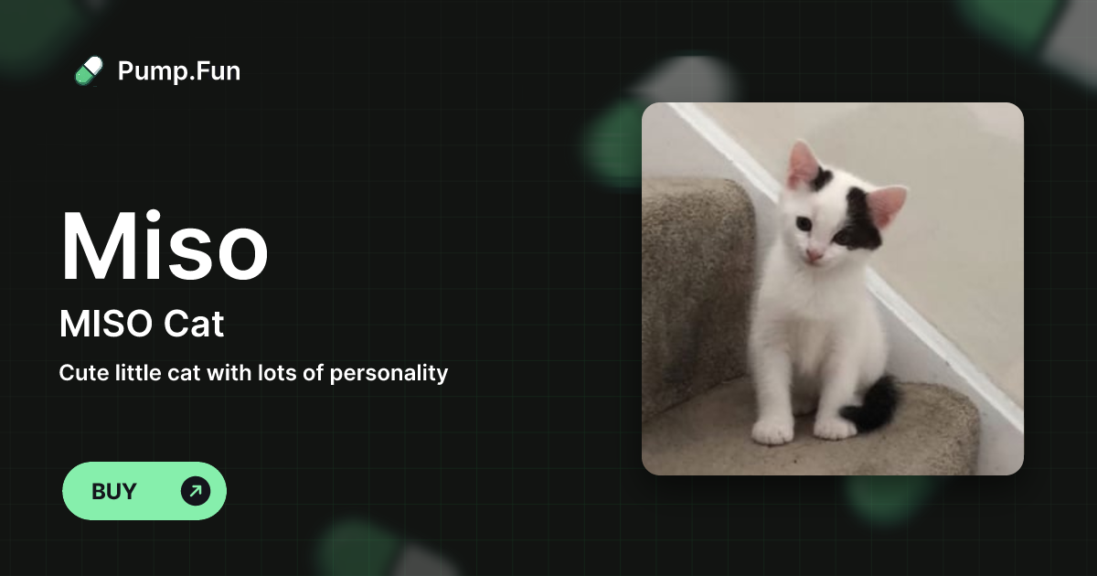 MISO Cat (Miso ) - Pump