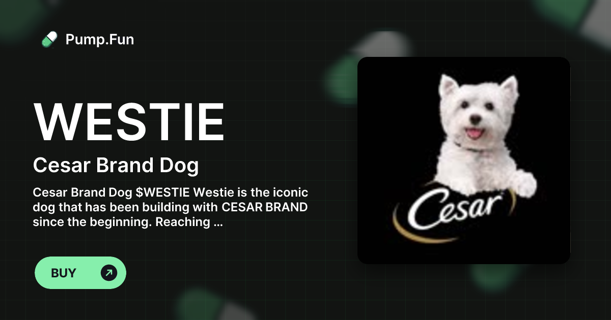 Cesar Brand Dog (WESTIE) - Pump