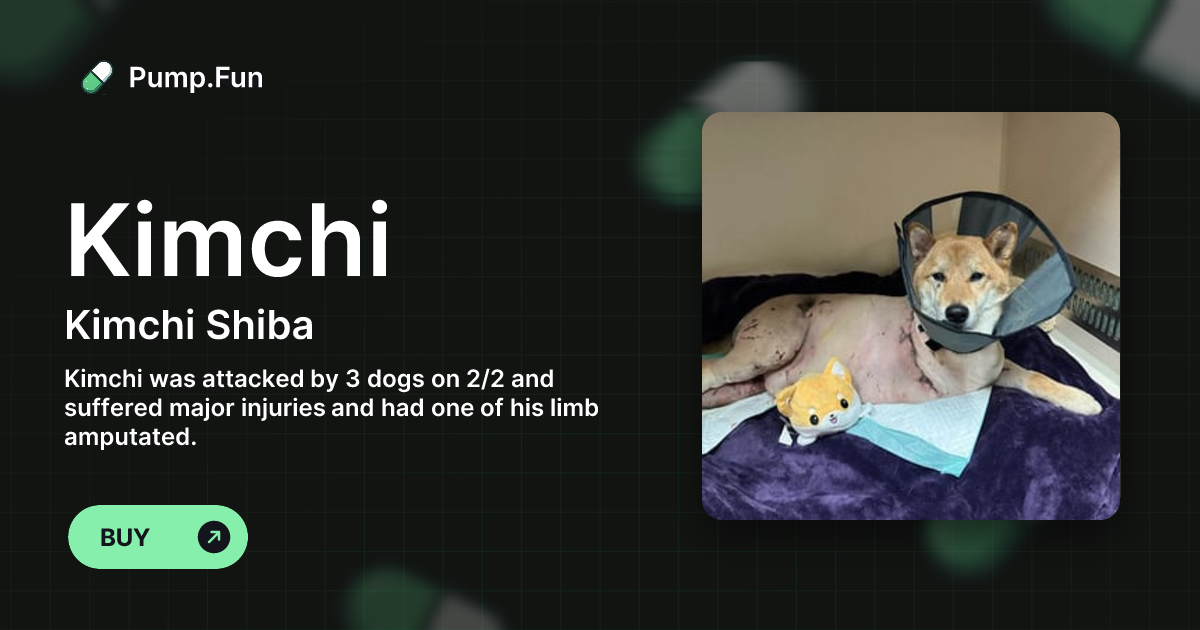 Kimchi Shiba (Kimchi) - Pump