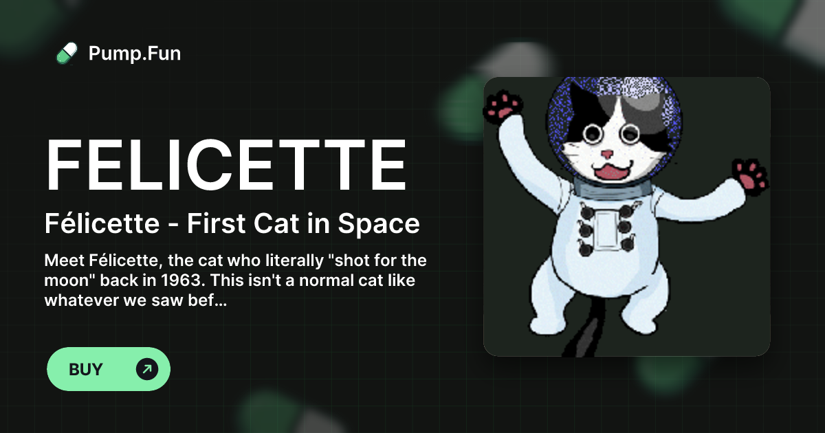 Félicette - First Cat in Space (FELICETTE) - Pump