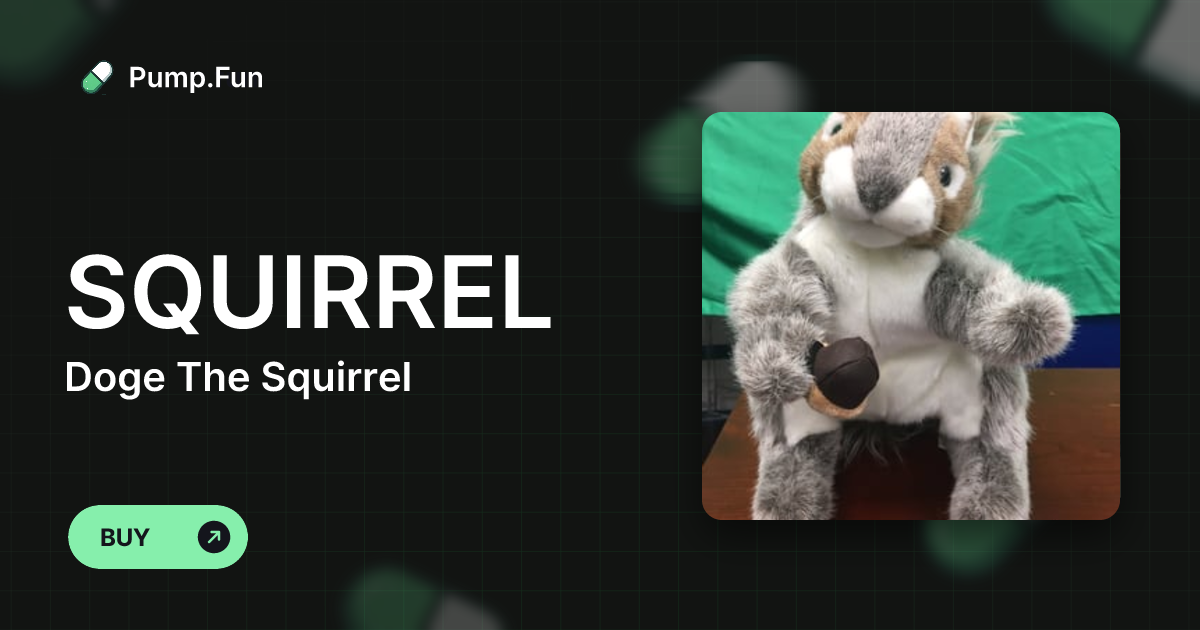 Doge The Squirrel (SQUIRREL) - Pump