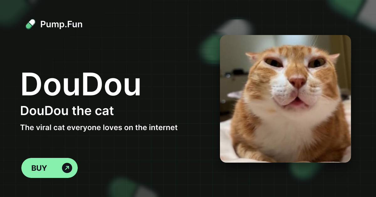 DouDou the cat (DouDou) - Pump