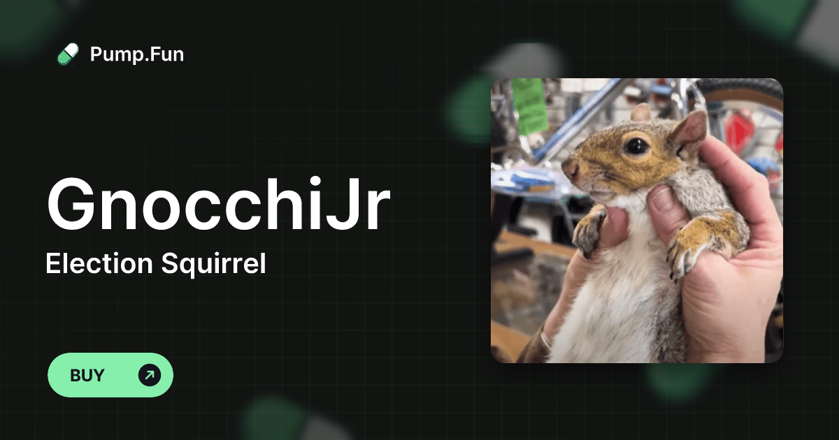 Election Squirrel (GnocchiJr) - Pump