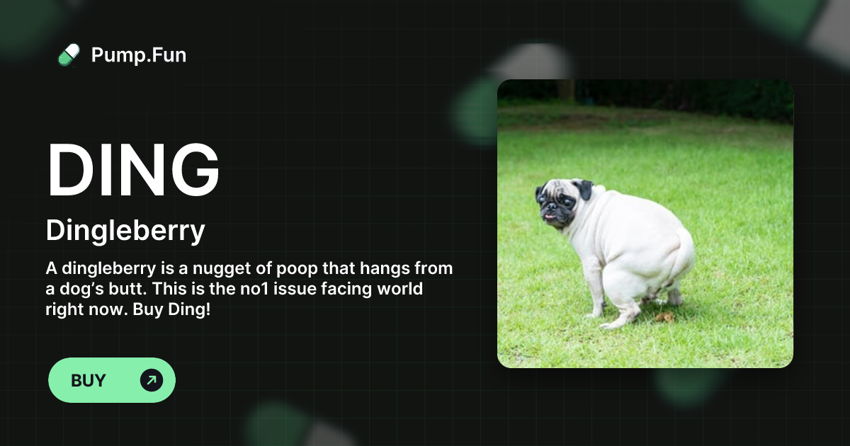 Dingleberry (DING) - Pump