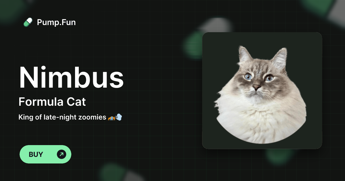 Formula Cat (Nimbus) - Pump