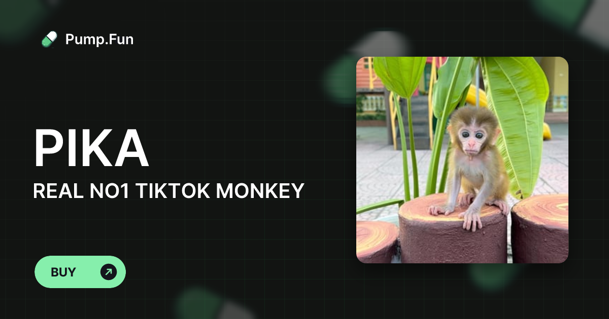 REAL NO1 TIKTOK MONKEY (PIKA) - Pump