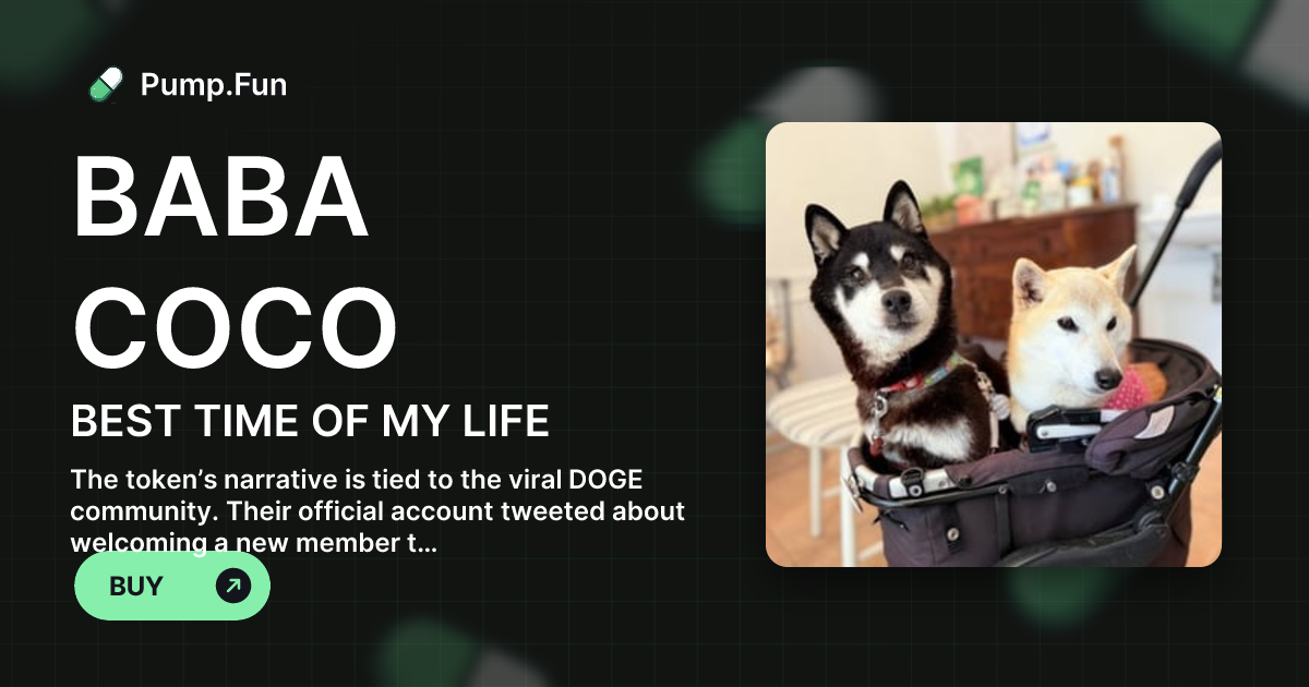 BEST TIME OF MY LIFE (BABA COCO) - Pump