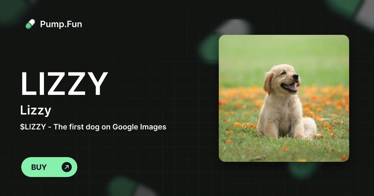 Lizzy (LIZZY) - Pump