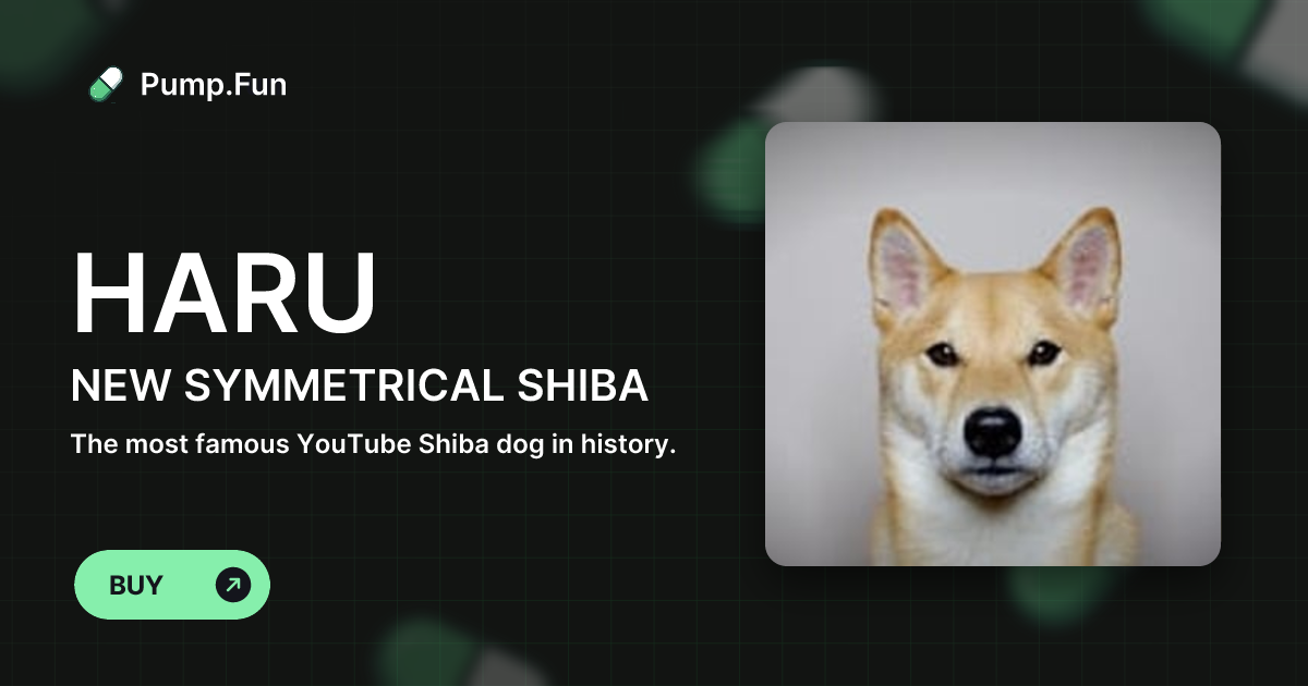 NEW SYMMETRICAL SHIBA (HARU) - Pump