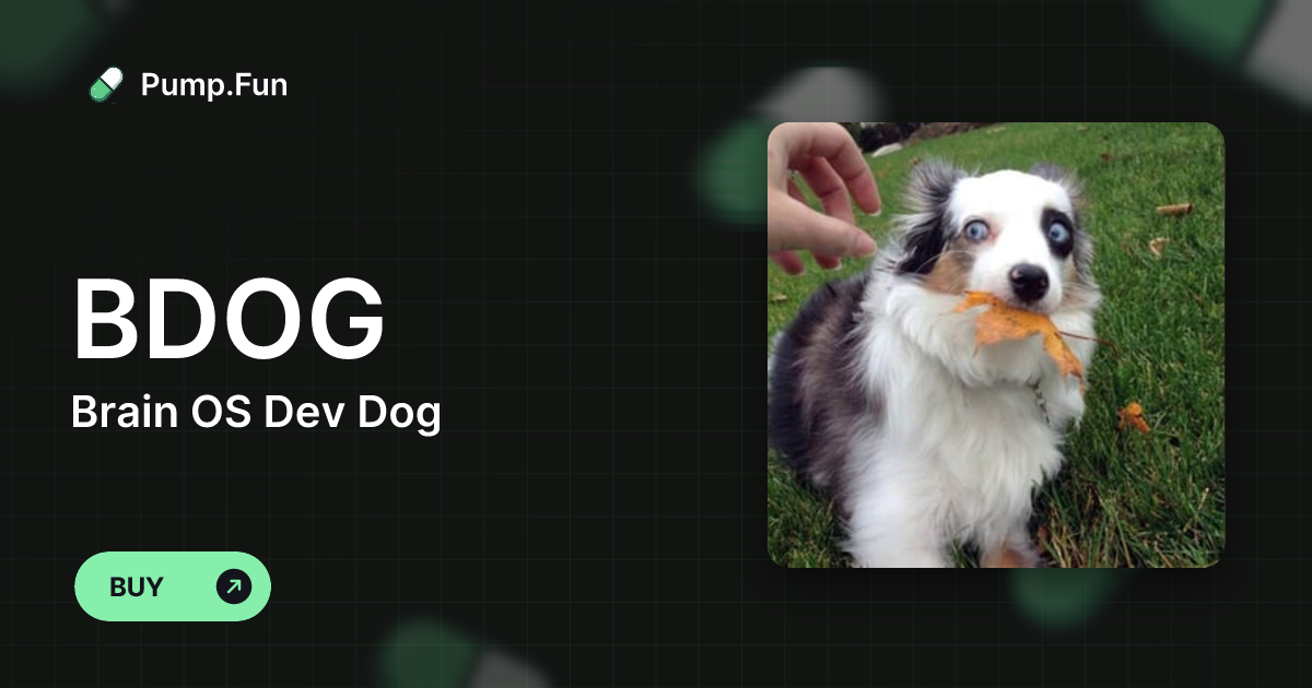 Brain OS Dev Dog (BDOG) - Pump