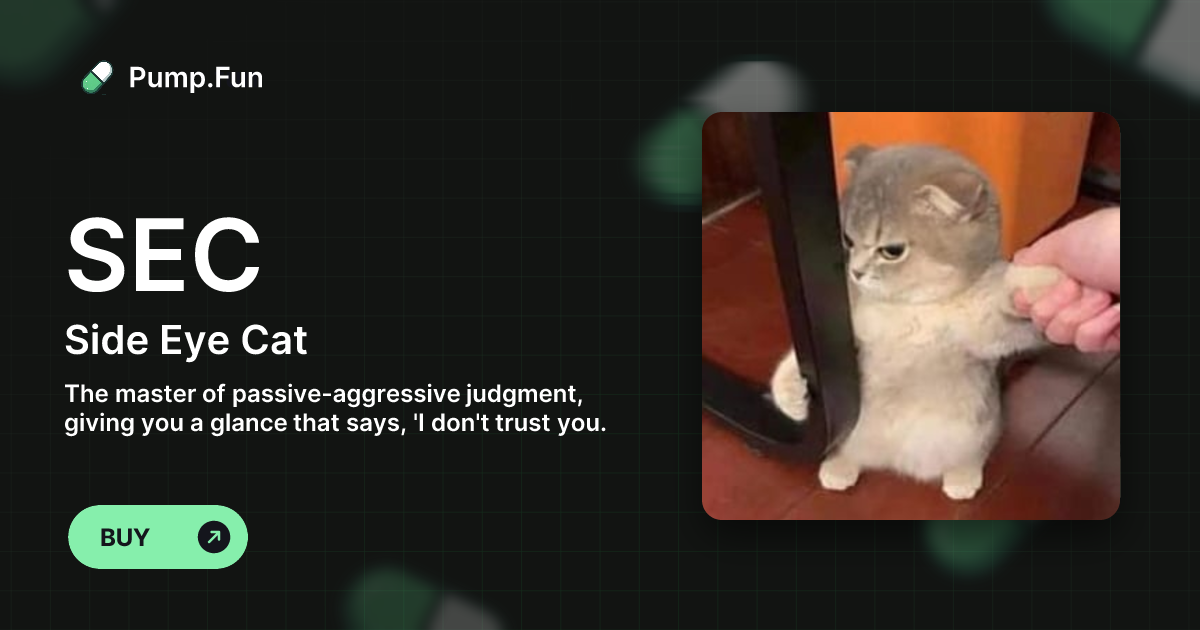 Side Eye Cat (SEC) - Pump