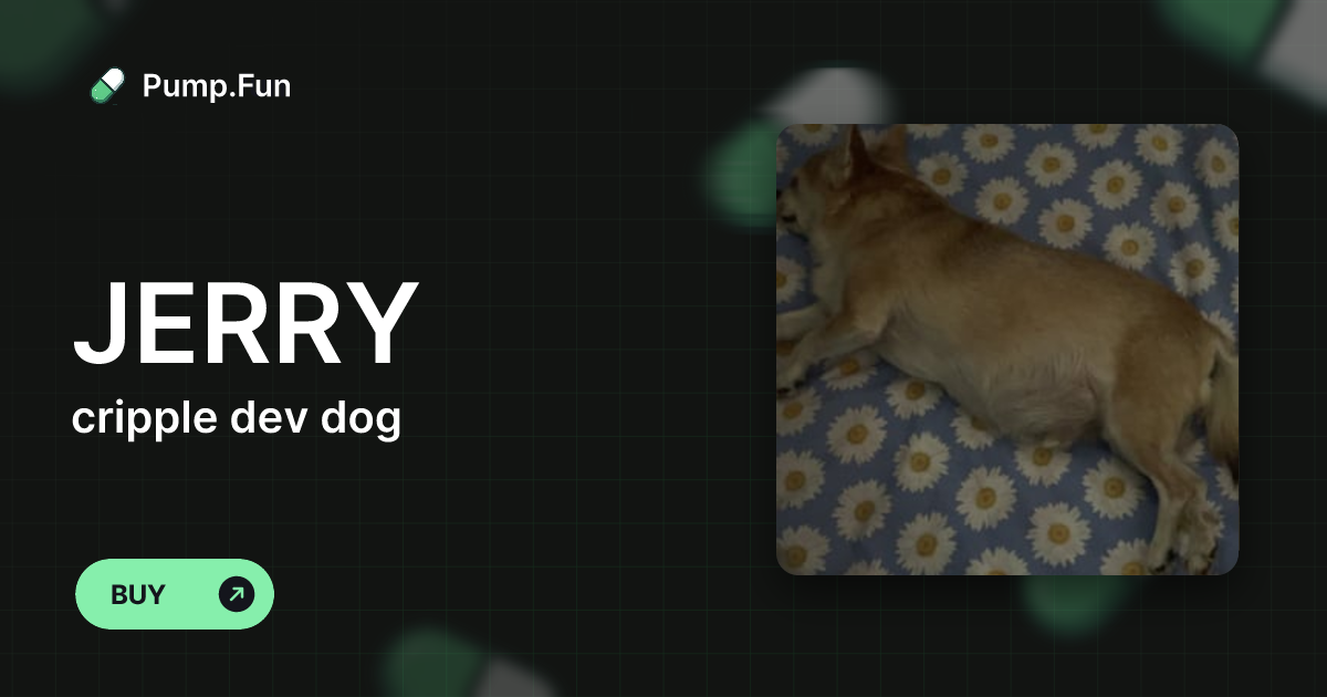 cripple dev dog (JERRY) - Pump