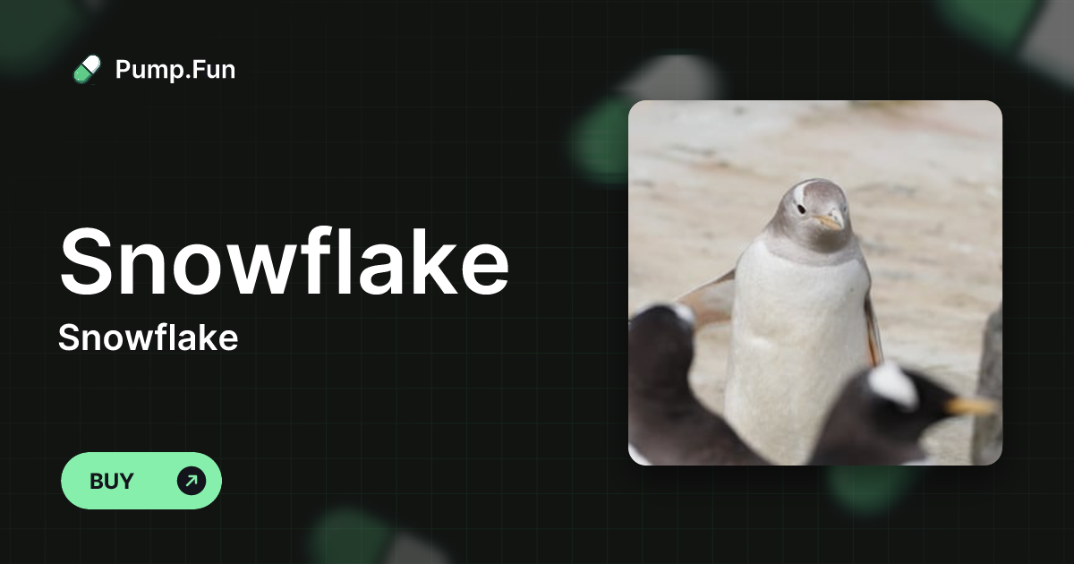 Snowflake (Snowflake) - Pump