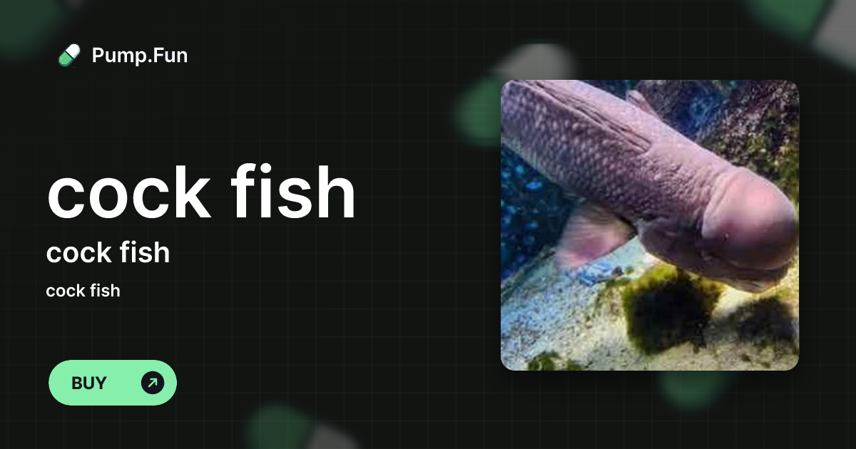 cock fish (cock fish) - Pump