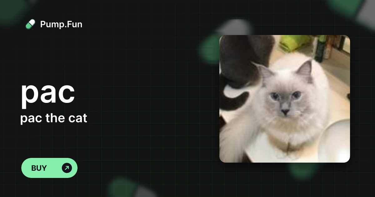 pac the cat (pac) - Pump