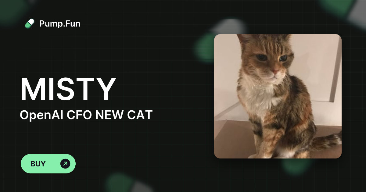 OpenAI CFO NEW CAT (MISTY) - Pump