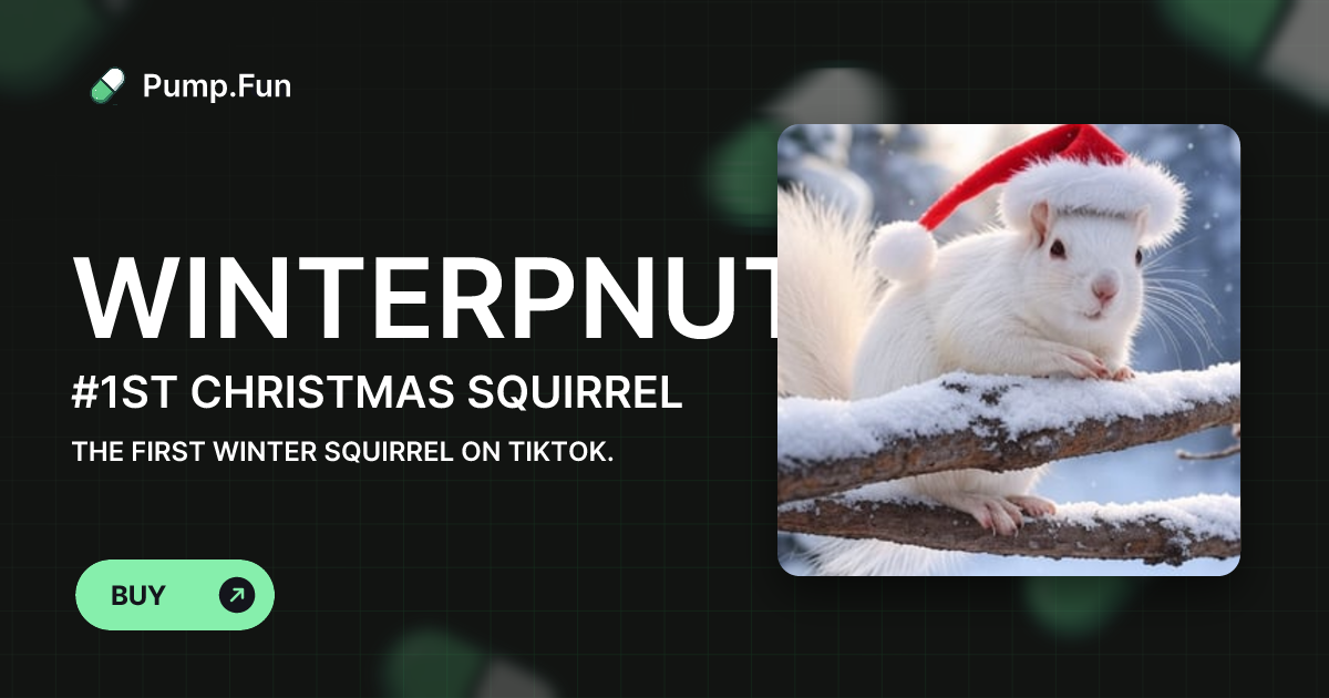 #1ST CHRISTMAS SQUIRREL (WINTERPNUT) - Pump
